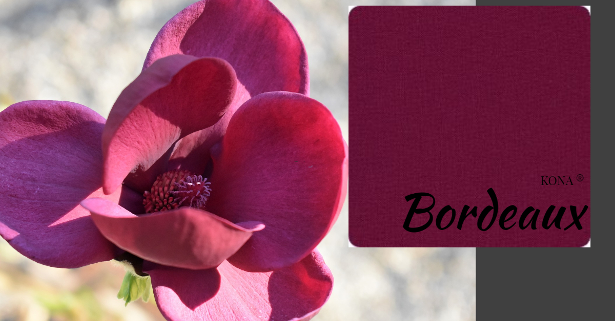 May 26th – Who Doesn’t Love a Great Bordeaux? – Sew Charming Quilts