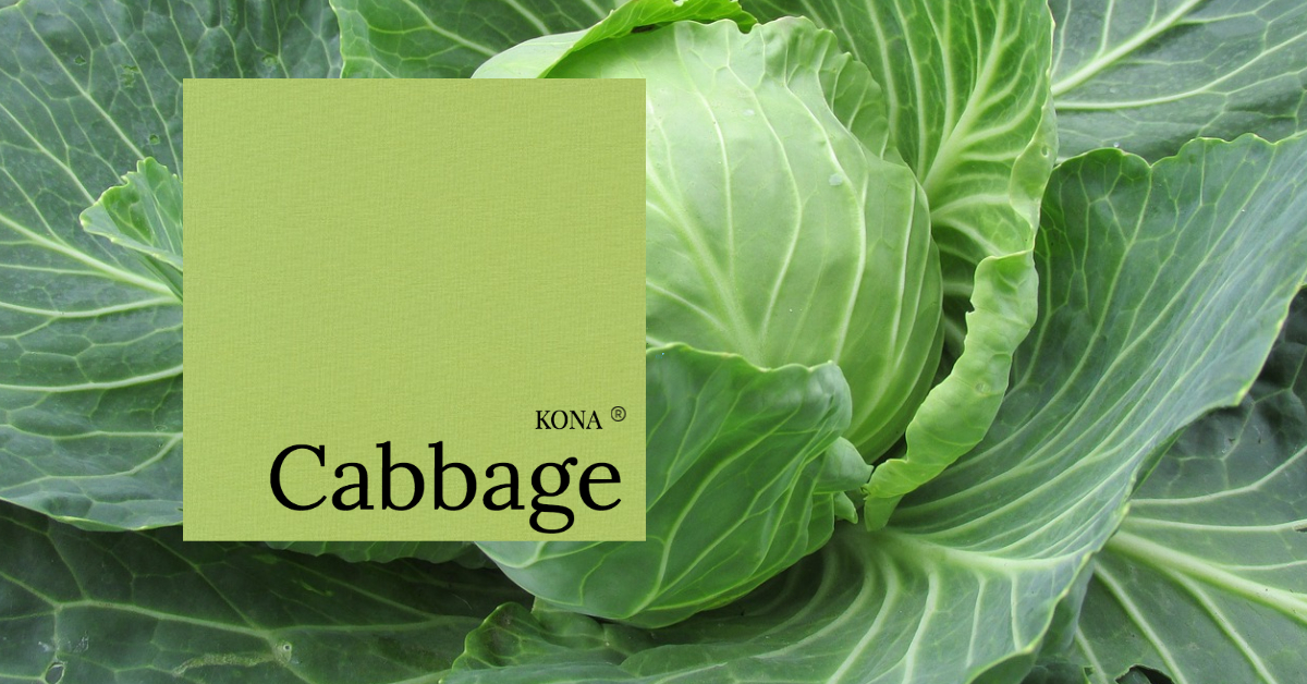 December 16th – Cabbage – Sew Charming Quilts